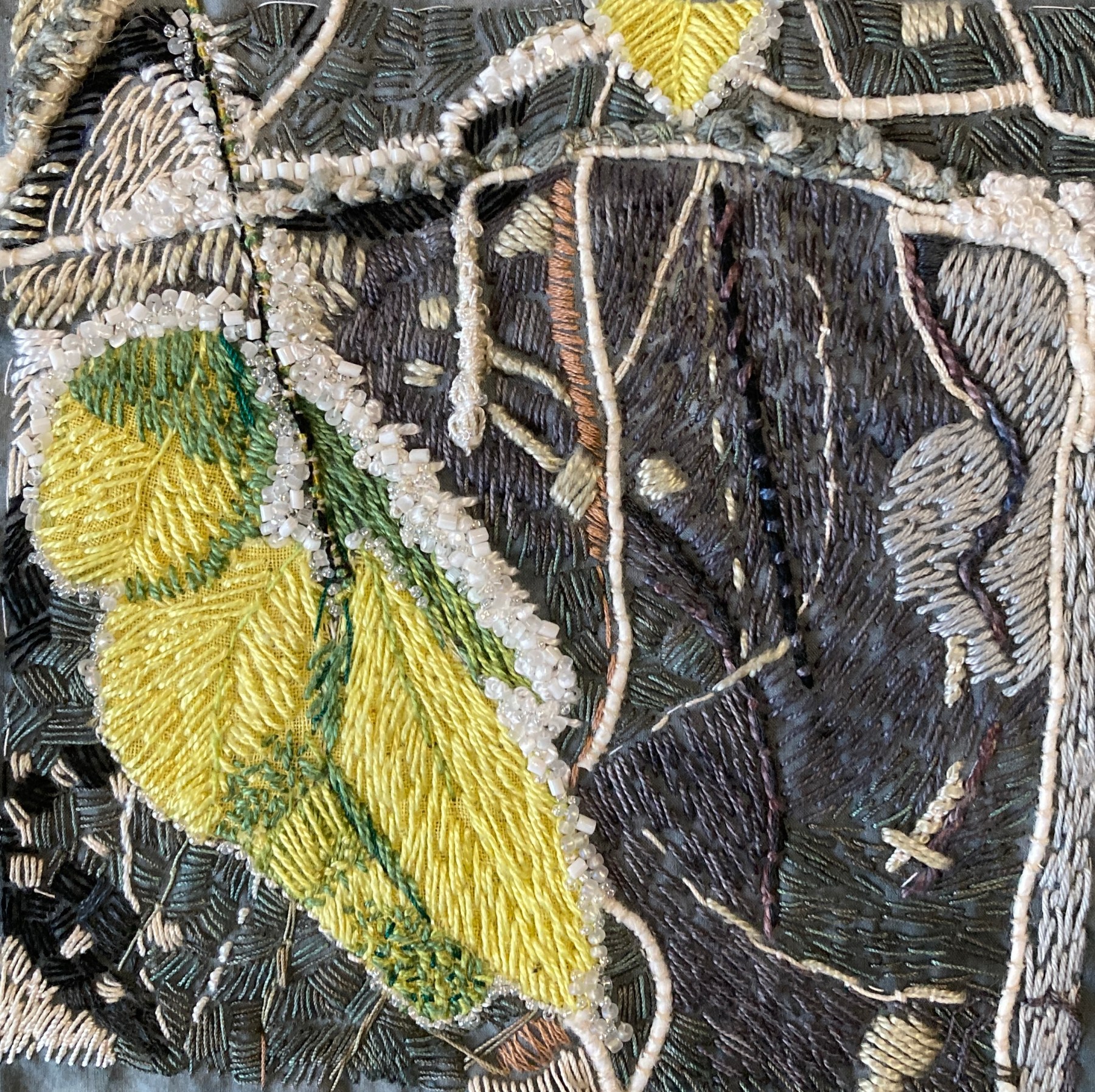 Exhibitions | Janet Edmonds