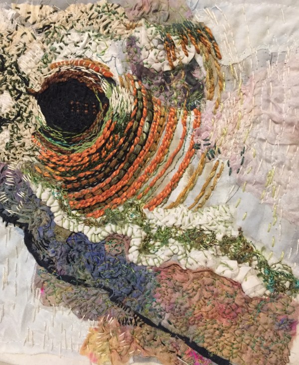 Exhibitions | Janet Edmonds